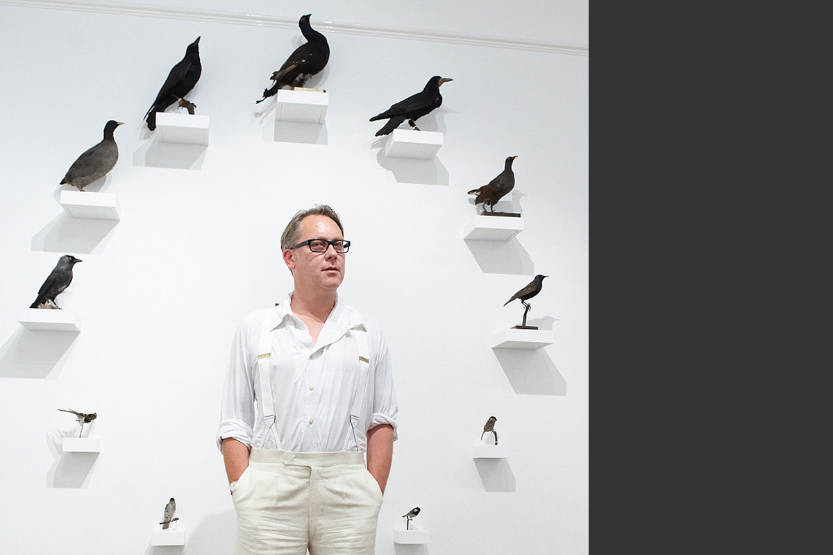 David Hodgkinson Photography